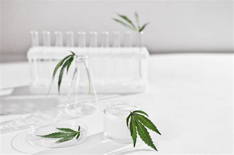 Why Quality Control Matters In Cannabis Testing