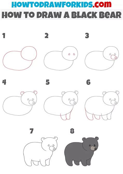 How To Draw A Black Bear Easy Tutorial