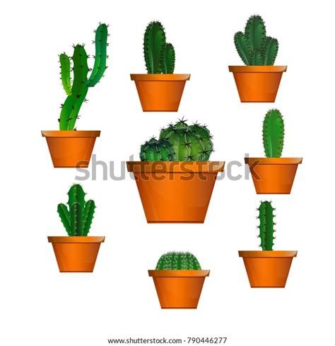 Set Cactuses Hand Drawn Vector Illustration Stock Vector Royalty Free