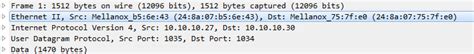 C How To Access Various Layers In A Packet Received Via Dpdk Stack