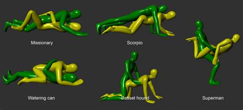 The Five Common Sexual Positions Used In This Study In All Images The Download Scientific