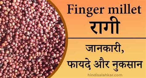 Ragi Kya Hota Hai रागी का दूसरा नाम 5 फायदे और नुकसान Finger