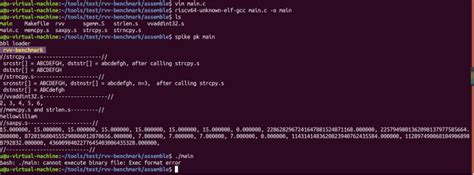 question about sgemm s test · issue 450 · riscvarchive riscv v spec