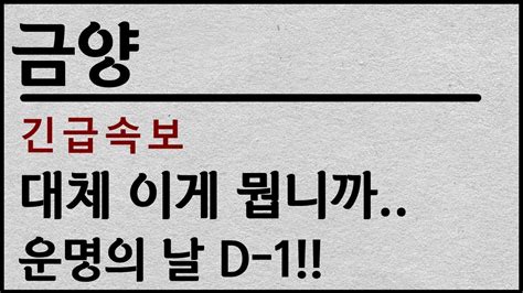 금양 긴급속보 운명의 날 D 1 꼭 보셔야합니다 금양 금양주가 금양주가전망 금양목표가 금양대응전략 금양분석 금양목표주가 금양대응 2차전지 리튬