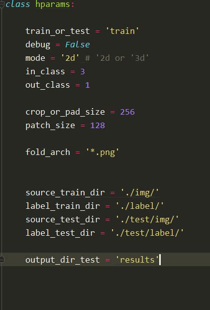 train · issue 11 · montaellis pytorch medical segmentation · github