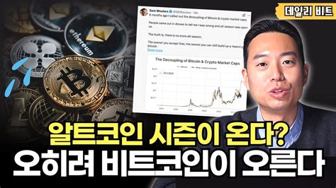 여전히 전고점 못 넘기고 있는 알트코인들 이번 시즌은 비트코인 시대입니다 데일리 비트 Youtube