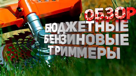 Обзор бюджетных бензиновых триммеров - YouTube