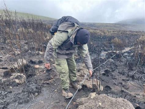 Fire Disrupts Internet On Africas Highest Peak