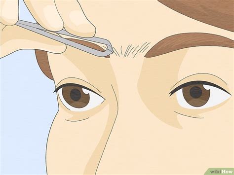 What Causes A Unibrow Your Top Unibrow Questions Answered