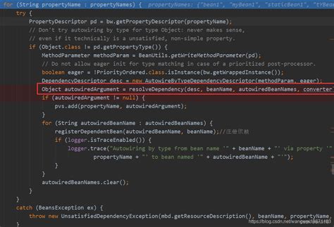 Spring 5x 源码之旅 56自动装配的秘密二 Csdn博客