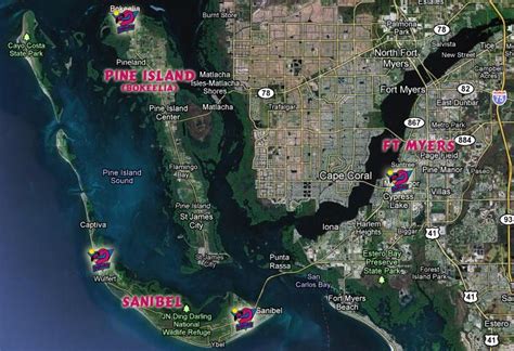 Bokeelia On Pine Island Florida Lazy Flamingo