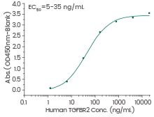 Tumor Exosomes A Messenger For Cancer Progression Sino Biological