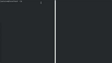 Screen Command On Linux Explained Devconnected