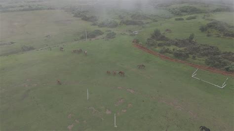 Anime Raw Footage Videos Download The Best Free 4k Stock Video Footage