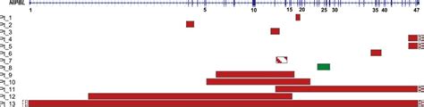 Schematic Diagram Of The Nipbl Gene Displaying Exonic Deletions And Download Scientific Diagram