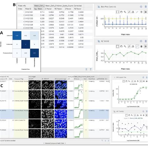 A Confusion Matrix Showing The Result Of A 10 Fold Cross Validation Download Scientific