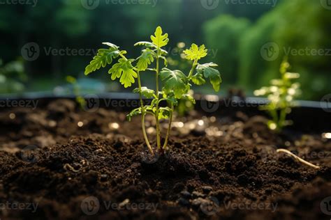 AI Generated Climate Action Planting A New Tree To Combat And Mitigate Climate Change AI