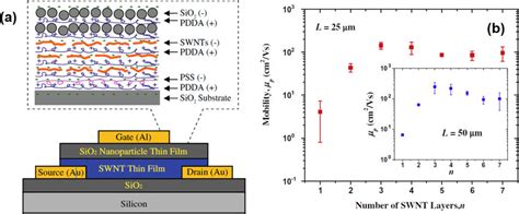 A The Structure Of The Carbon Nanotube Thin Film Transistor Tft Is Download Scientific