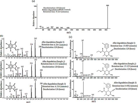 GC MS Pattern Before And After Rose Bengal Degradation By A Niger