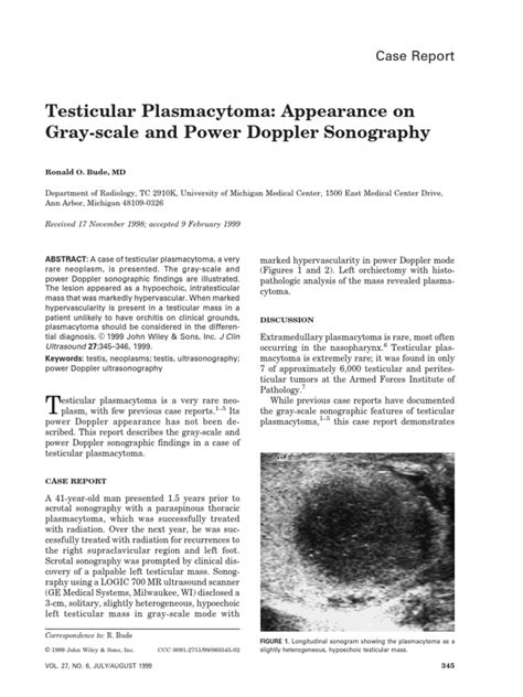 Testicular Plasmacytoma Appearance On Gray Scale And Power Doppler