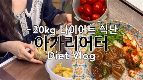 다이어트 브이로그 20kg 유지어터 살안찌는 소소한 꿀팁 요요없는 식단관리 혼밥 먹방 일상 Vlog Youtube
