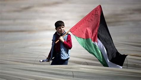 أعلى الدول العربية في معدلات الإنجاب السودان وفلسطين ومصر