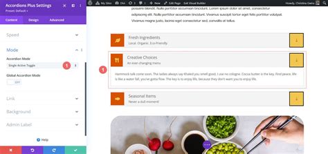 Divi Plugin Highlight Divi Accordions Plus