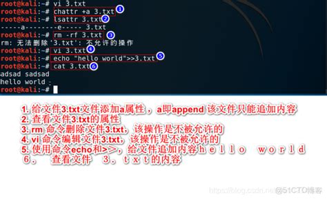 kali linux基础命令： chattr与sattr文件属性 qq5cc3c77000d40的技术博客 51cto博客