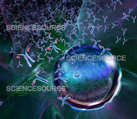 Antibodies Attaching To A Pathogen Il Stock Image Science Source