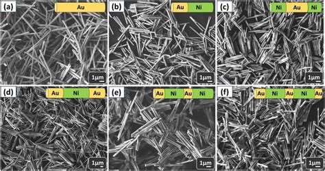 Design And Imaging Of Uncoated Structures Of A Pure Gold Nanowires
