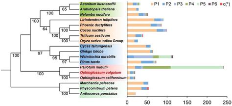 simple sequence repeats ssrs characteristic of 18 representative