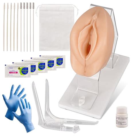 Gynecological Examination Model Vaginal Training Model For Science