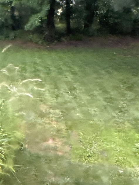 Incorrect Angle Cut In Schedules R Mammotiontechnology