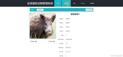 JAVA毕设项目全球濒危动物管理系统java VUE Mybatis Maven Mysql 濒危动物管理系统功能页面图片 CSDN博客