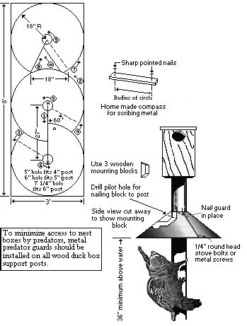 Towo Looking For Wood Duck Box Predator Guard Plans