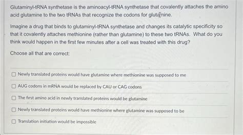 Solved Glutaminyl TRNA Synthetase Is The Aminoacyl TRNA Chegg Com