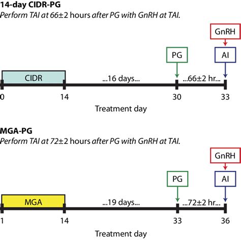 Long Term Fixed Time Ai Protocols For Heifers Mga Pg And 14 Day Cidr Pg Download Scientific
