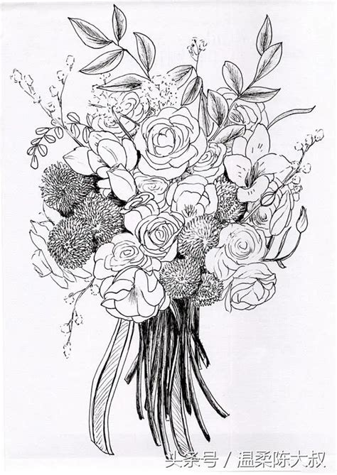 花卉 线稿 花瓣网