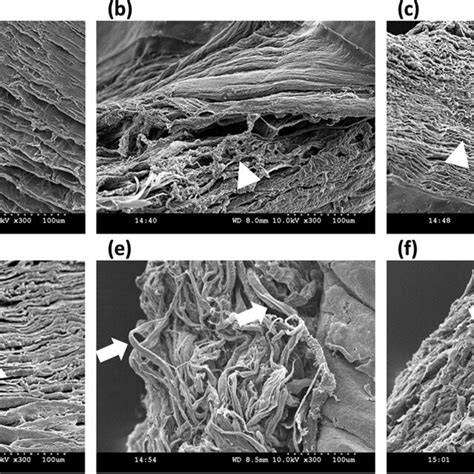 Fracture Toughness Test Matrix Download Scientific Diagram