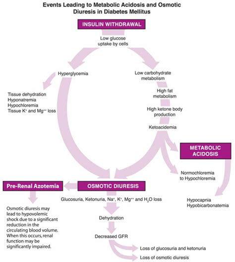 Osmotic Diuresis Defined And Osmotic Diuresis Causes