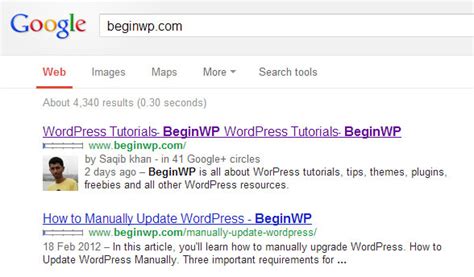 Solve Double Title Problem In Wordpress When You Install Seo Plugin Beginwp