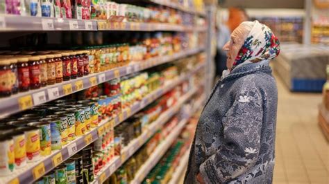 What Is A Plasmid And What Is Its Function Evidence Network