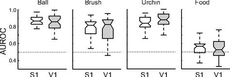 cross modal responses in the primary visual cortex encode complex objects and correlate with