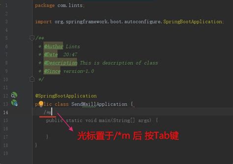 IntelliJ IDEAIDEA自动生成文档注释的设置方法 Lints林芝 博客园
