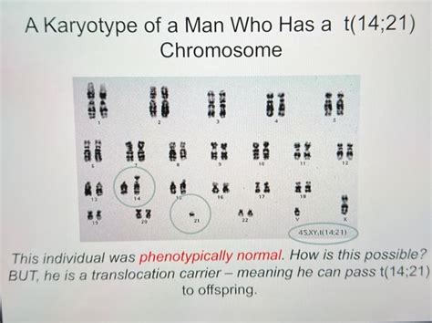 solved concept check assume that nondisjunction of the sex