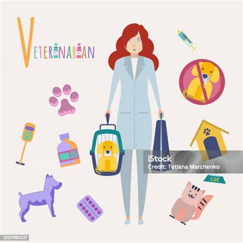 다채로운 벡터 알파벳입니다 직업의 책 전문 수의사 문자 V 건강관리와 의술에 대한 스톡 벡터 아트 및 기타 이미지 건강관리와