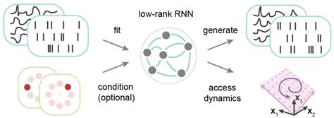 Inferring Stochastic Low Rank Recurrent Neural Networks From Neural Data · Neurips 2024