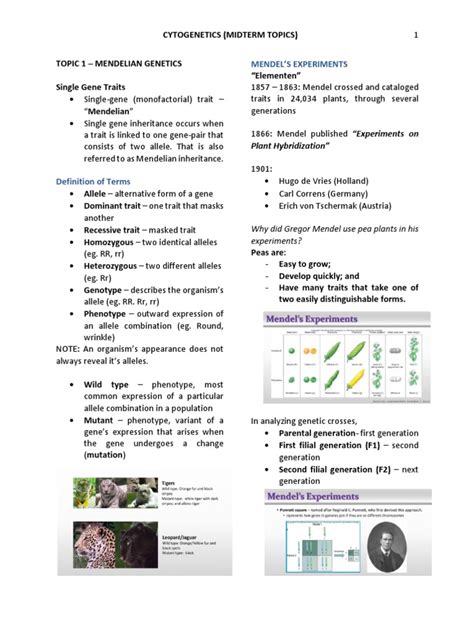 Midterm Topic 1 Cyto Pdf Dominance Genetics Allele