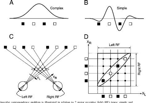 Figure 1 From Encoding Of Binocular Disparity By Simple Cells In The Cats Visual Cortex