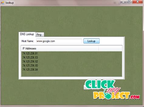 concise lookup tables for ipv4 and ipv6 longest prefix matching in
